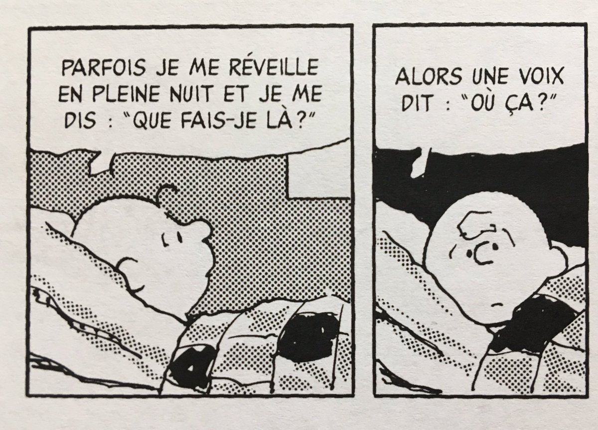 「Les nuits de Charlie Brown - « Snoopy & les Peanuts » Charle」Thomas ...