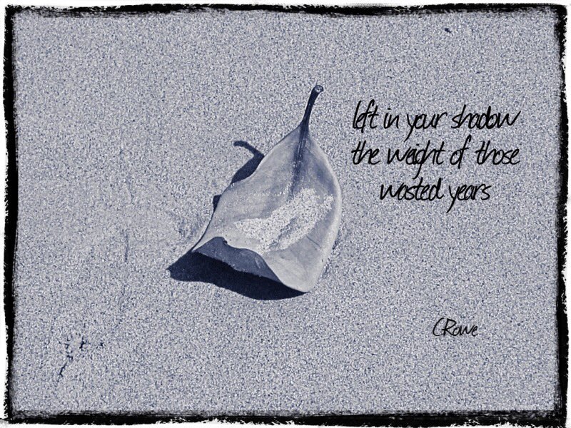 Biography – Cynthia Rowe