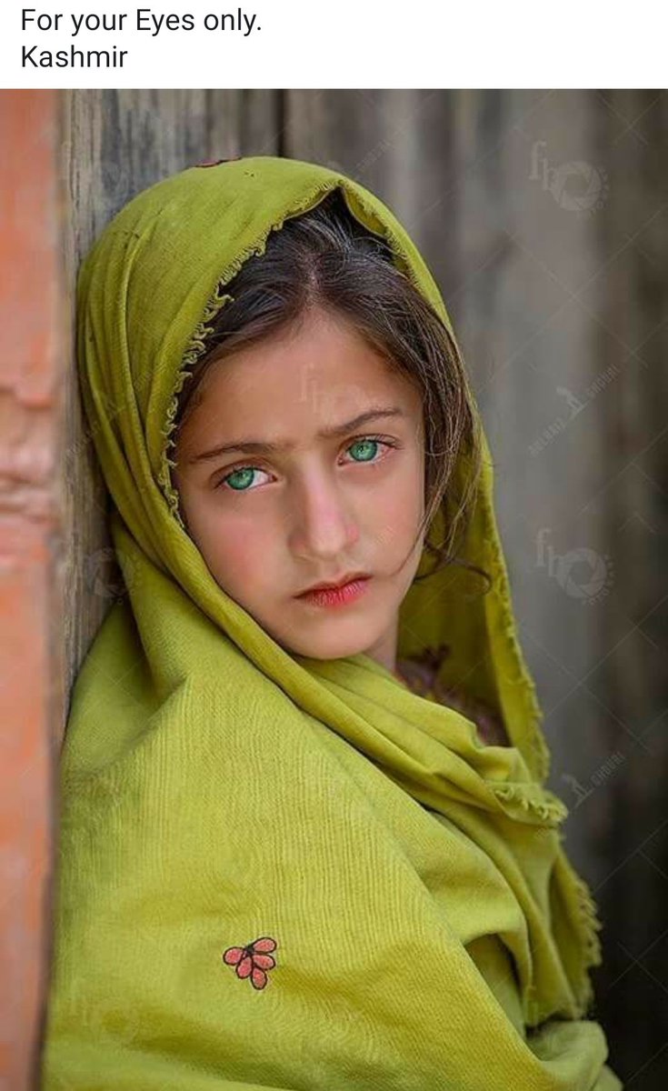 Kashmir Eyes