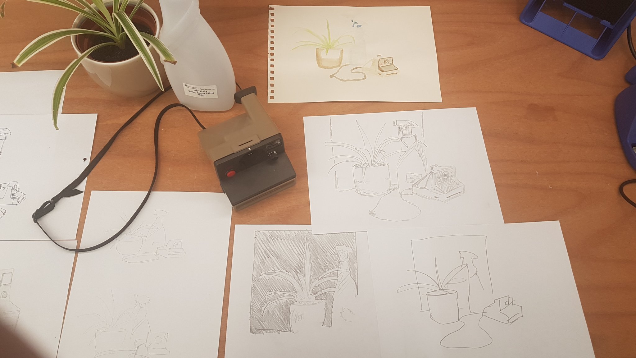 Amir Porat on Twitter: "@MerozLab 🙌🏻 https://t.co/OGCnnqZIfF" / Twitter