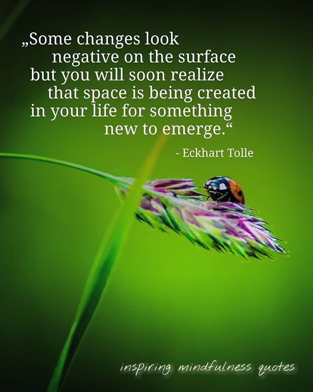 Spatial Awareness Quotes