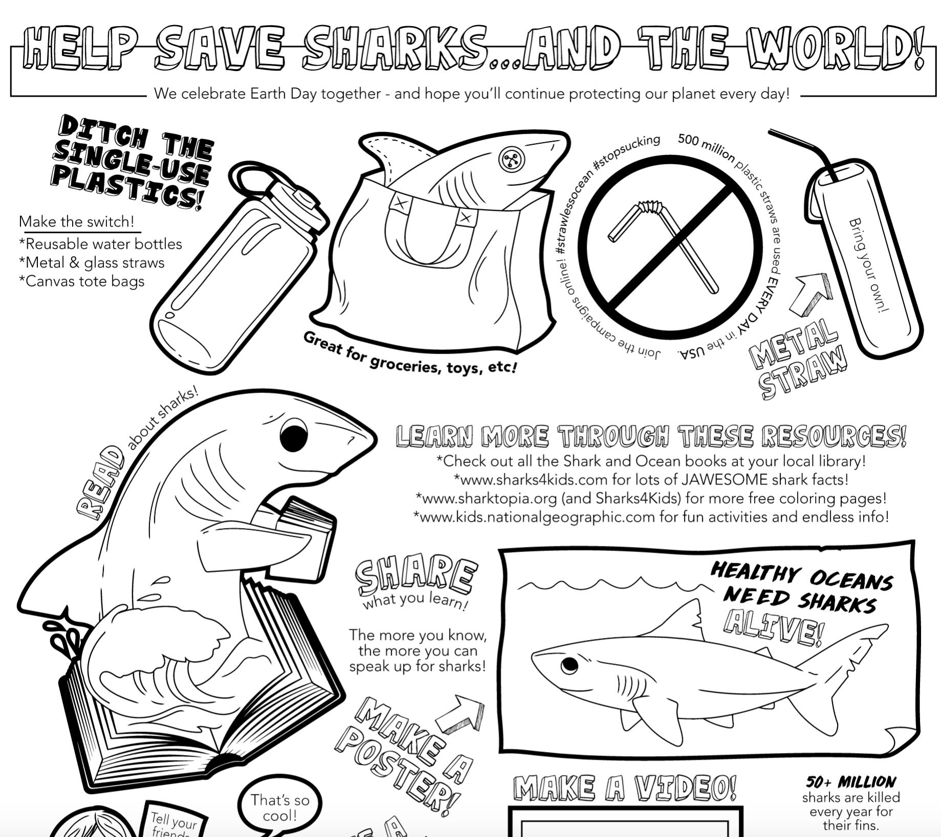 Shark Education on Twitter: "#WorldOceansDay is this Saturday. Learn ...