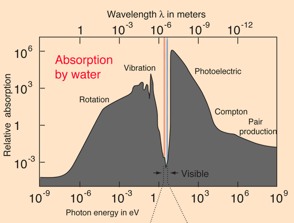 Absorción Del Espectro De Luz