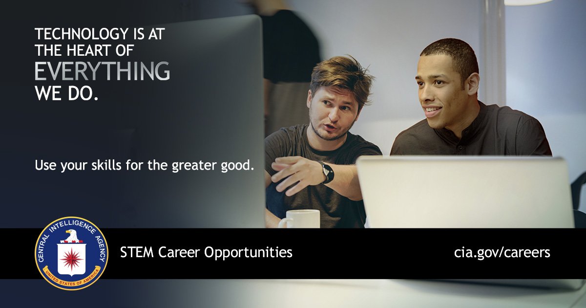 Technical Targeting Analyst: Defend the country against technical threats