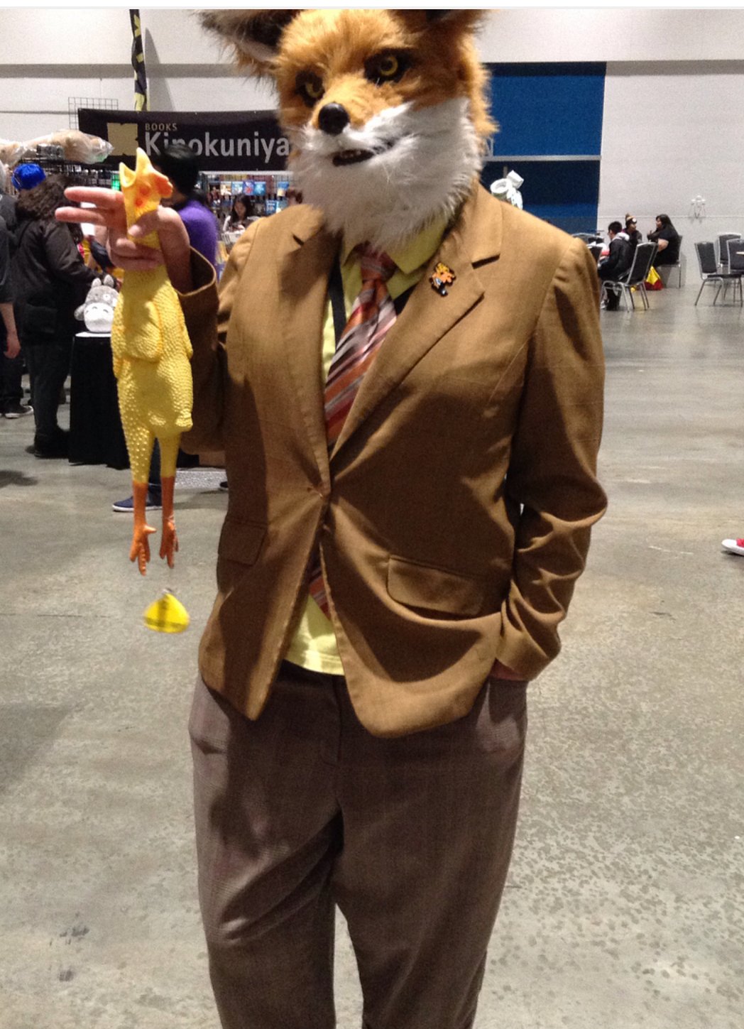 Fantastic Mr Fox Costume