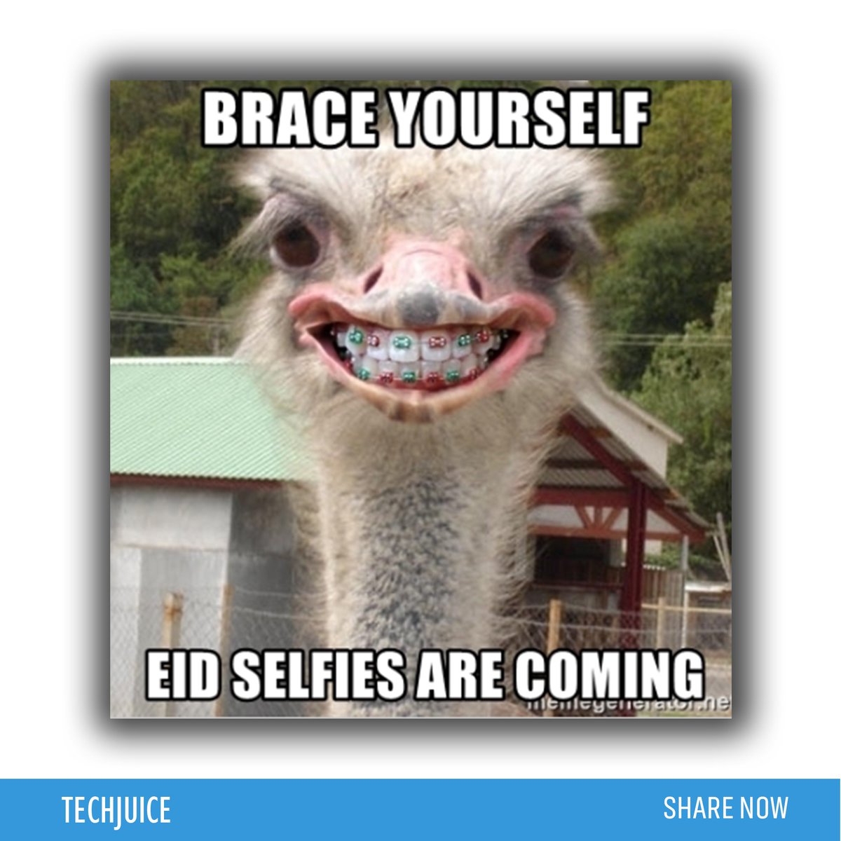 Brace Yourselves Memes Are Coming