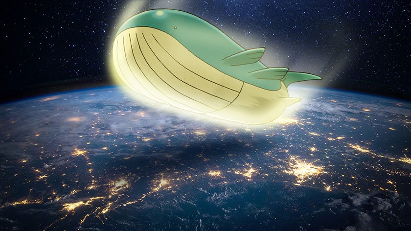 Wailord Used Body Slam