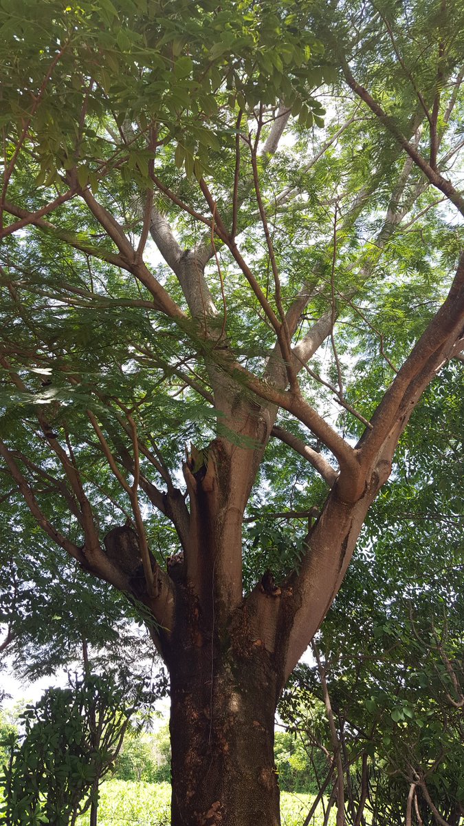 Ruby Retana (@retana_ruby) | Twitter