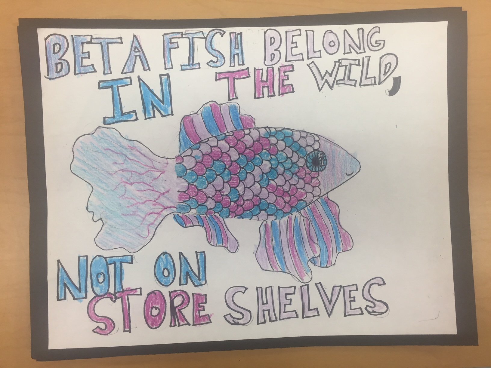 Why Peta Offered To Buy Every Betta Fish From Petco Peta