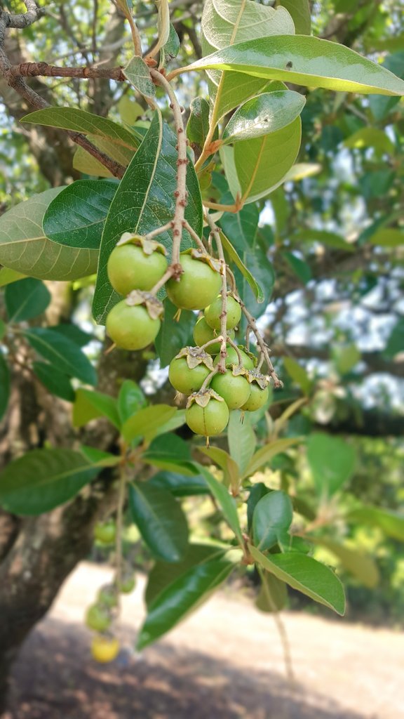 Ruby Retana (@retana_ruby) | Twitter