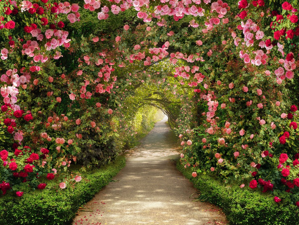 Beautiful Paths