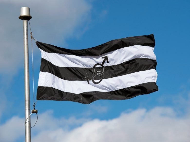 The Straight Pride Flag looks like it’s the cover of MEN ARE FROM MARS ...