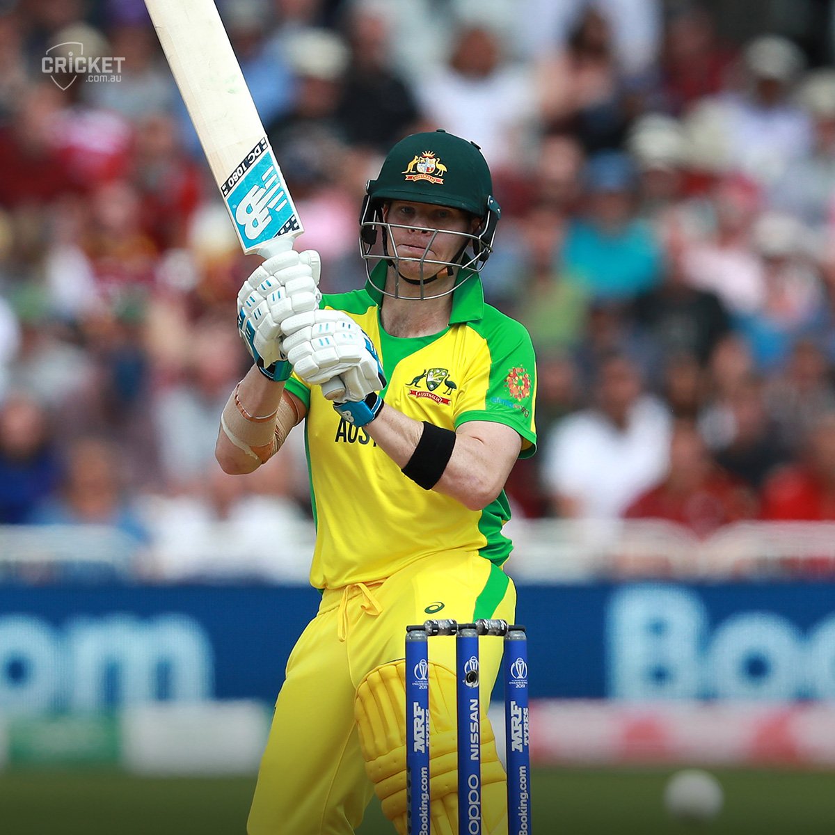 Steve Smith: FIFTY! Steve Smith raises his bat for his first ODI half ...