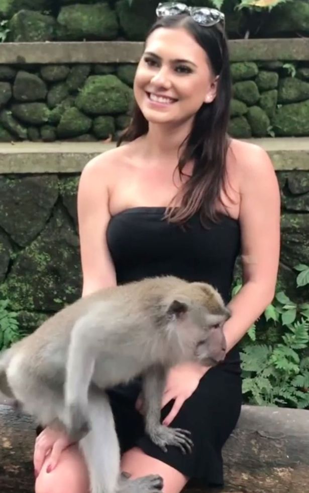 Macaque pulls down woman's dress as she poses for picture at Bali ...
