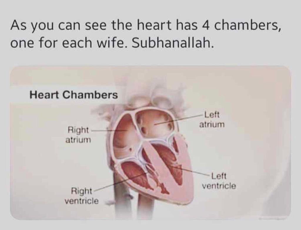 Anwar abdi 🇰🇪 (@AnwarrAbdi) | Twitter