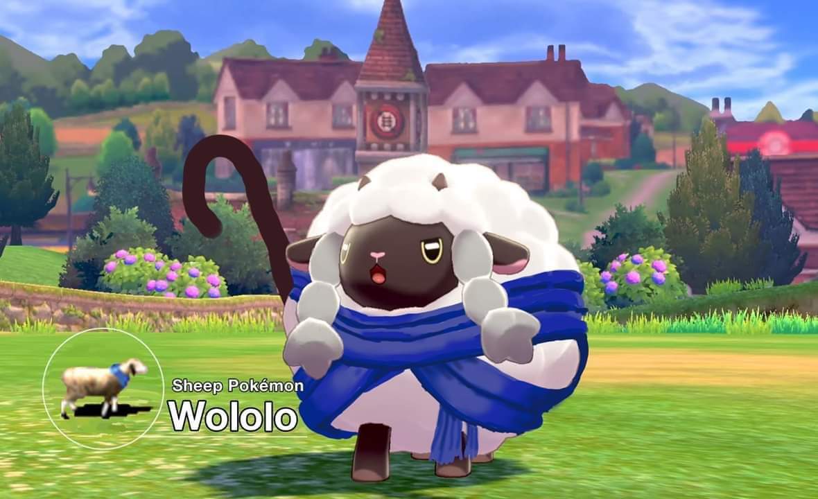 I've only had Wooloo for a day... : r/gaming