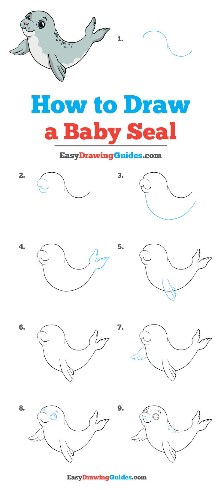 Easy Seal Drawing