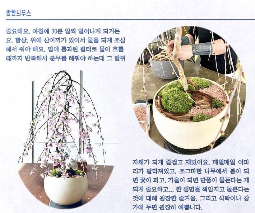 nico x waca (@bts_nxw) | Twitter