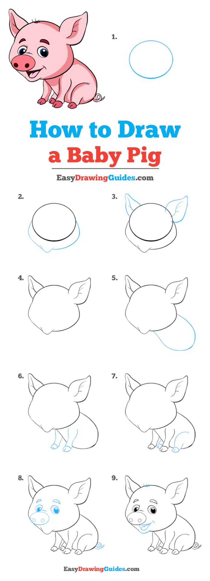 How To Draw A Simple Pig