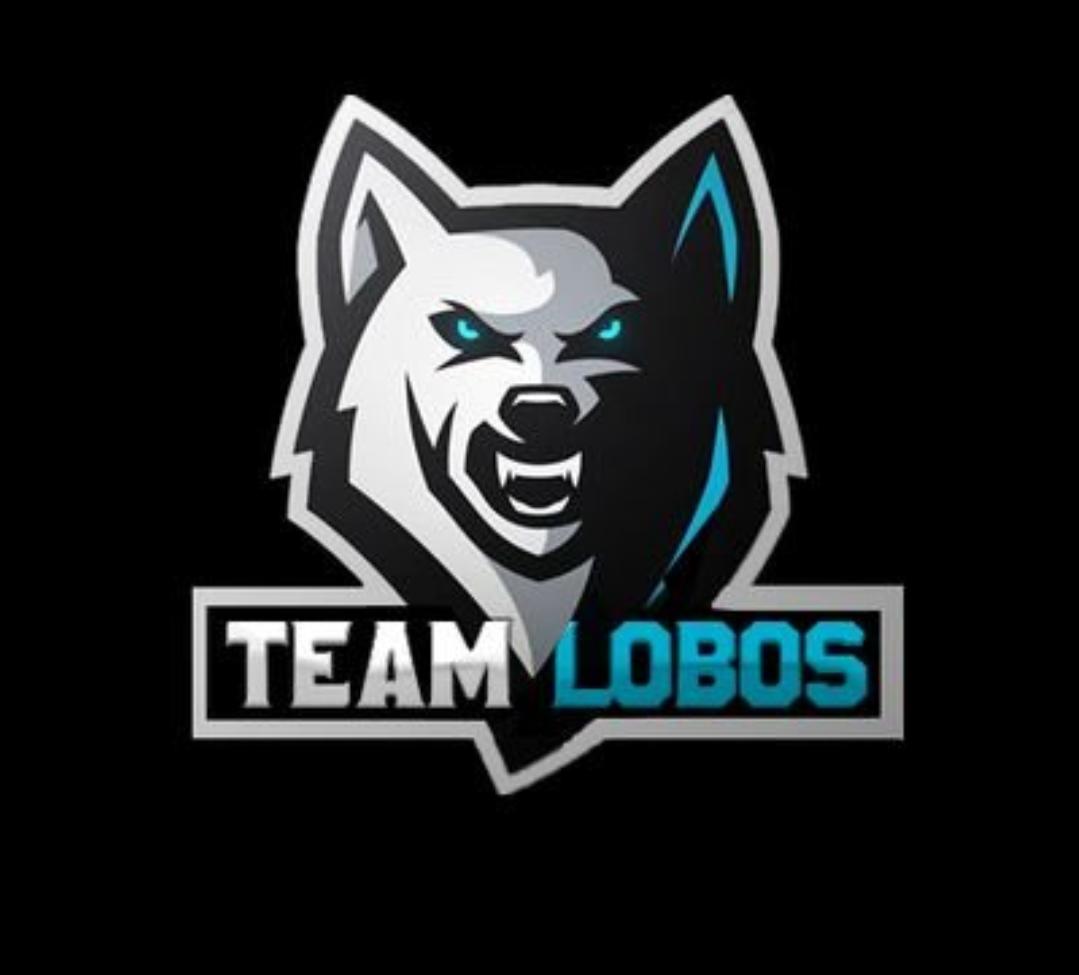 Team Lobos (@Crisuur1) / Twitter
