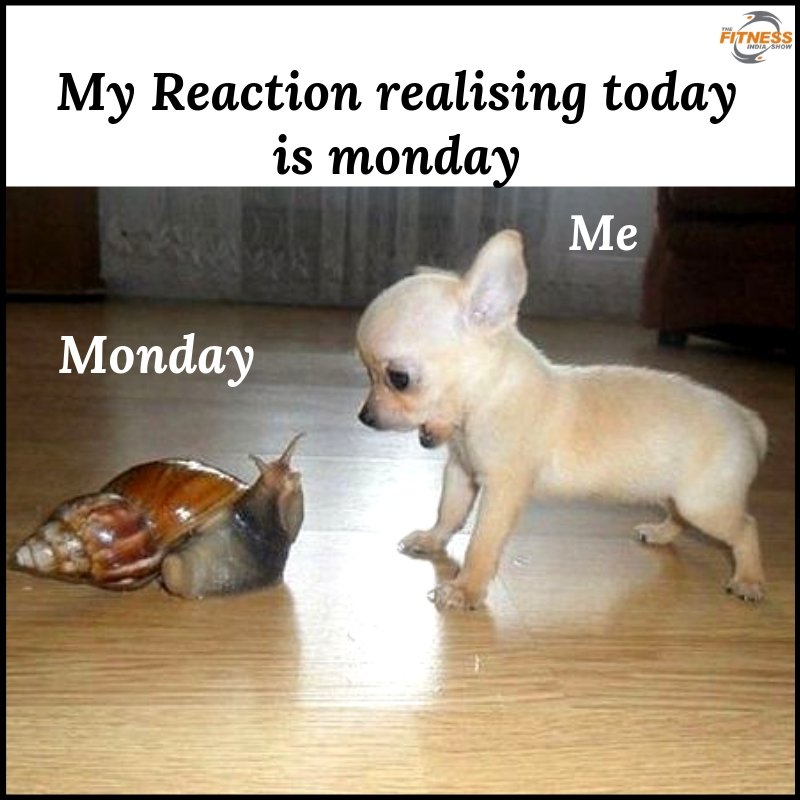 Monday Workout Meme