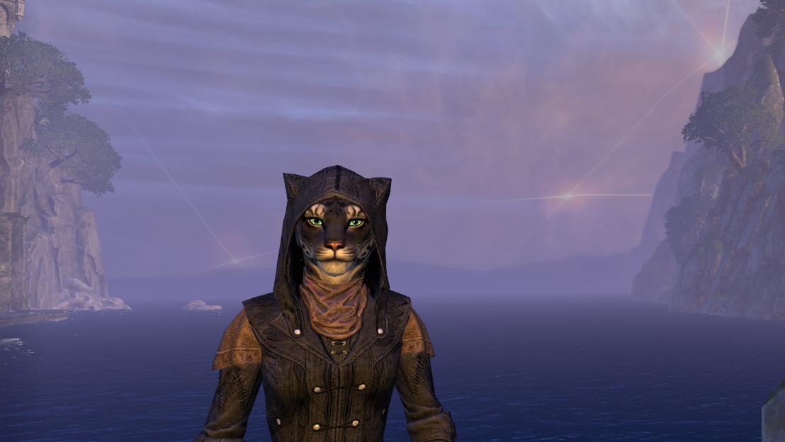 Elder Scrolls Online Khajiit Character Creation The Elder Scrolls: