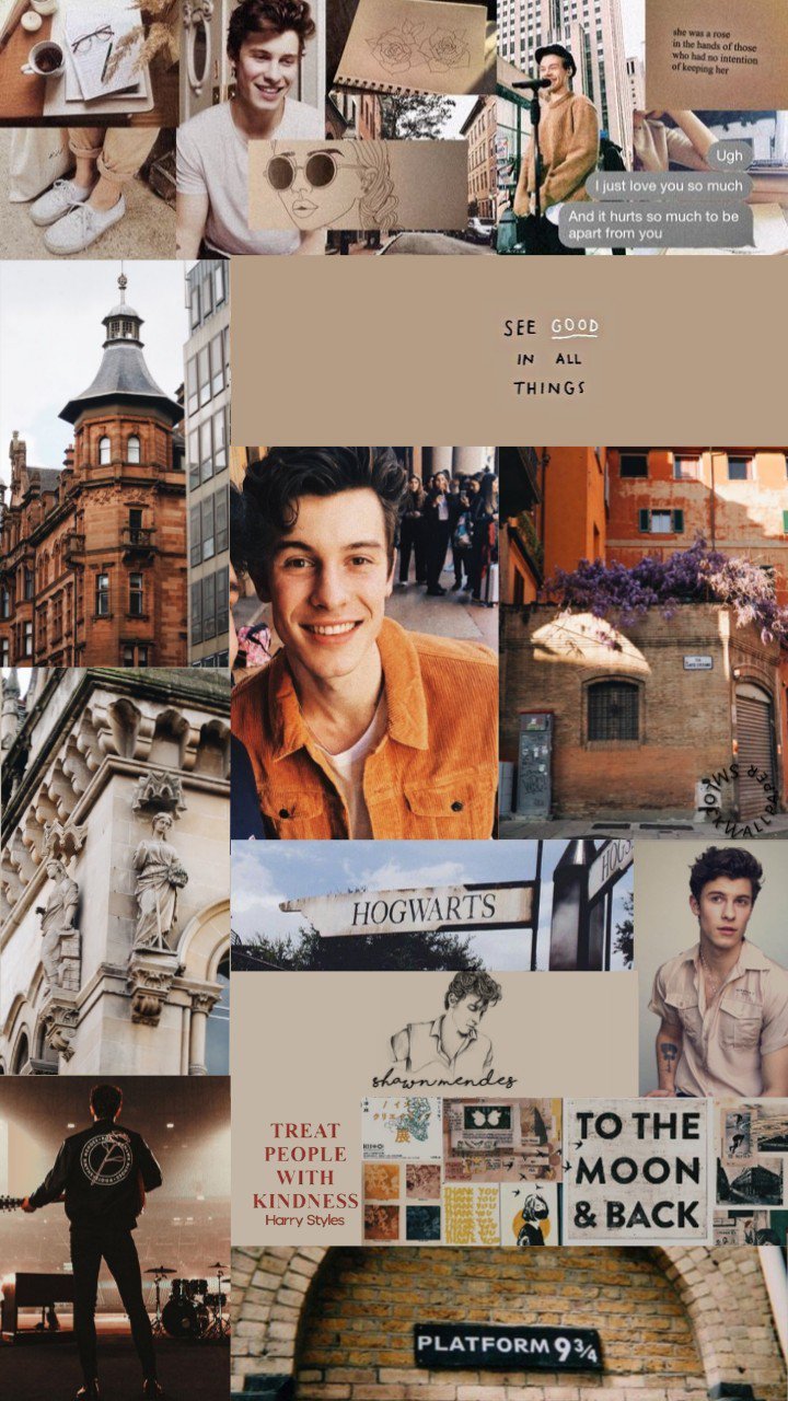 Shawn Mendes Collage Wallpaper