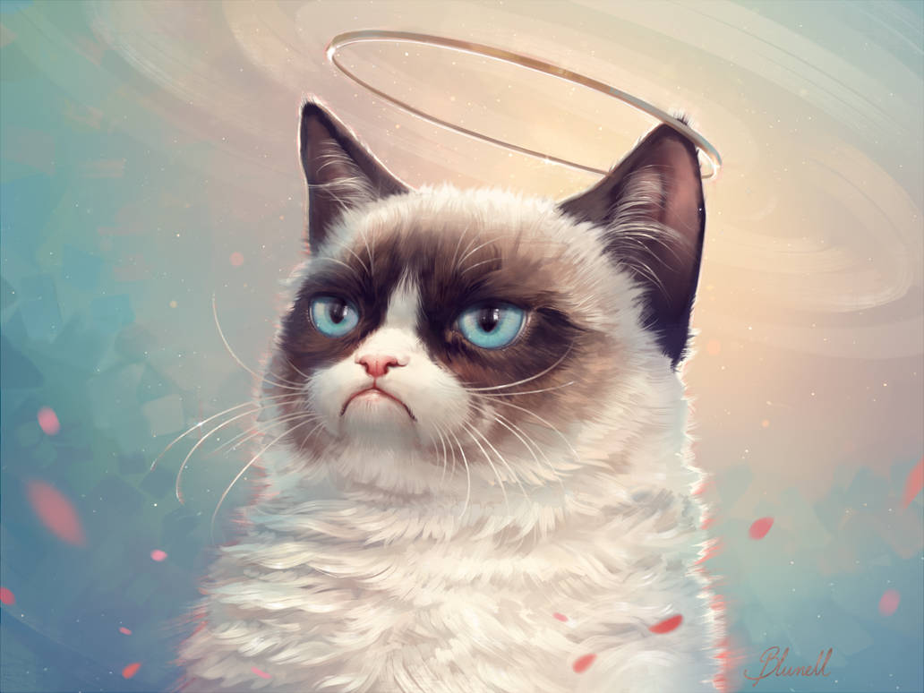Smile Grumpy Cat