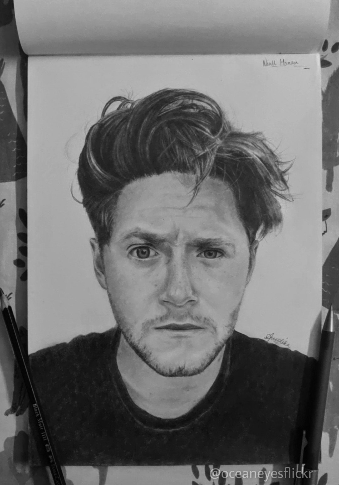 Niall Horan Drawing Easy