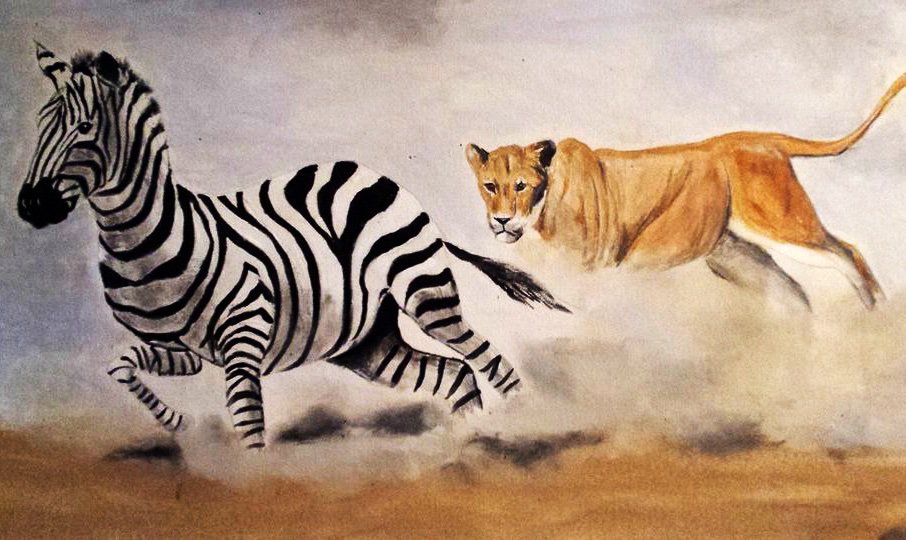 Lion Chasing Zebra