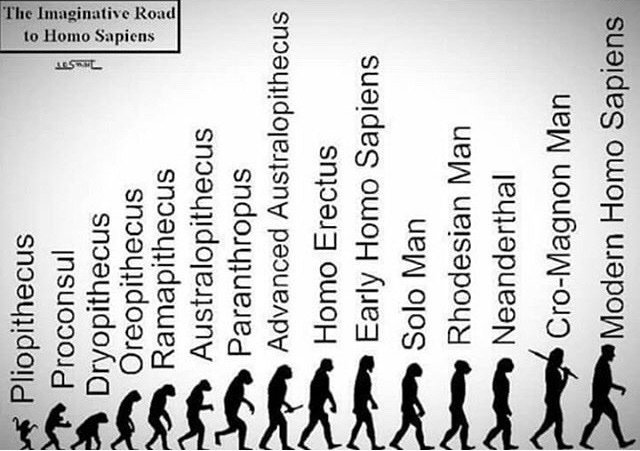 Evolution Of Man Chart