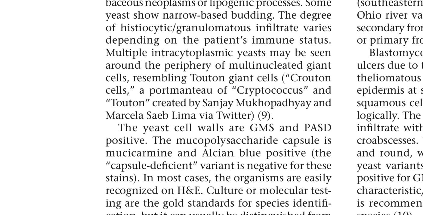 Jerad Gardner, MD on Twitter: "Here's screenshots of the proofs for my dermpath survival guide ...