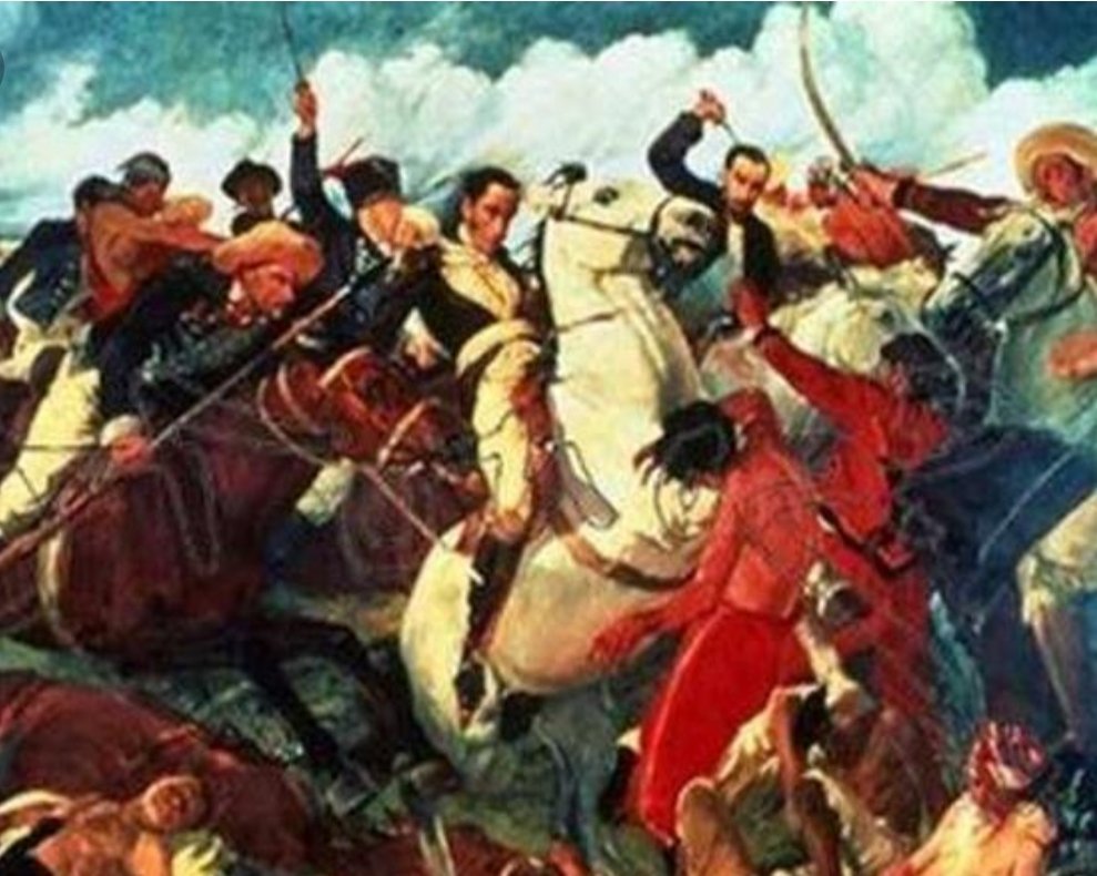 INTI_Merida (@merida_ort) | Twitter