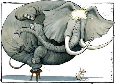 Bojo Toon | The Inquiring Mind