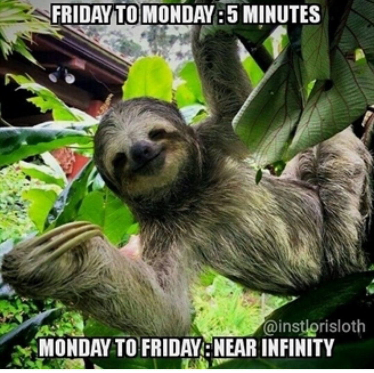 Sloth Happy Memes Its Your Birthday And I Remember Without Reminders,