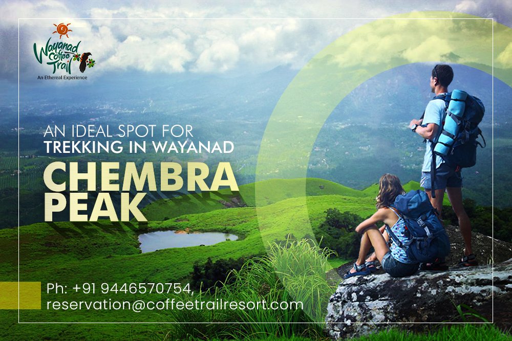 Chembra Peak Trekking