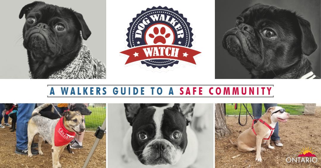 City of Ontario on Twitter: "The National Association of Town Watch created the Dog Walker Watch ...