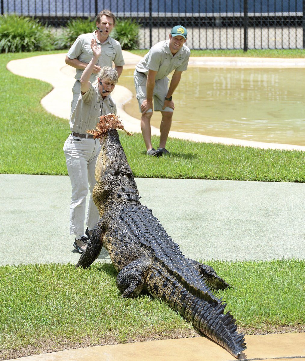 Make your school holidays “jaw-some” and catch our Crocoseum croc ...