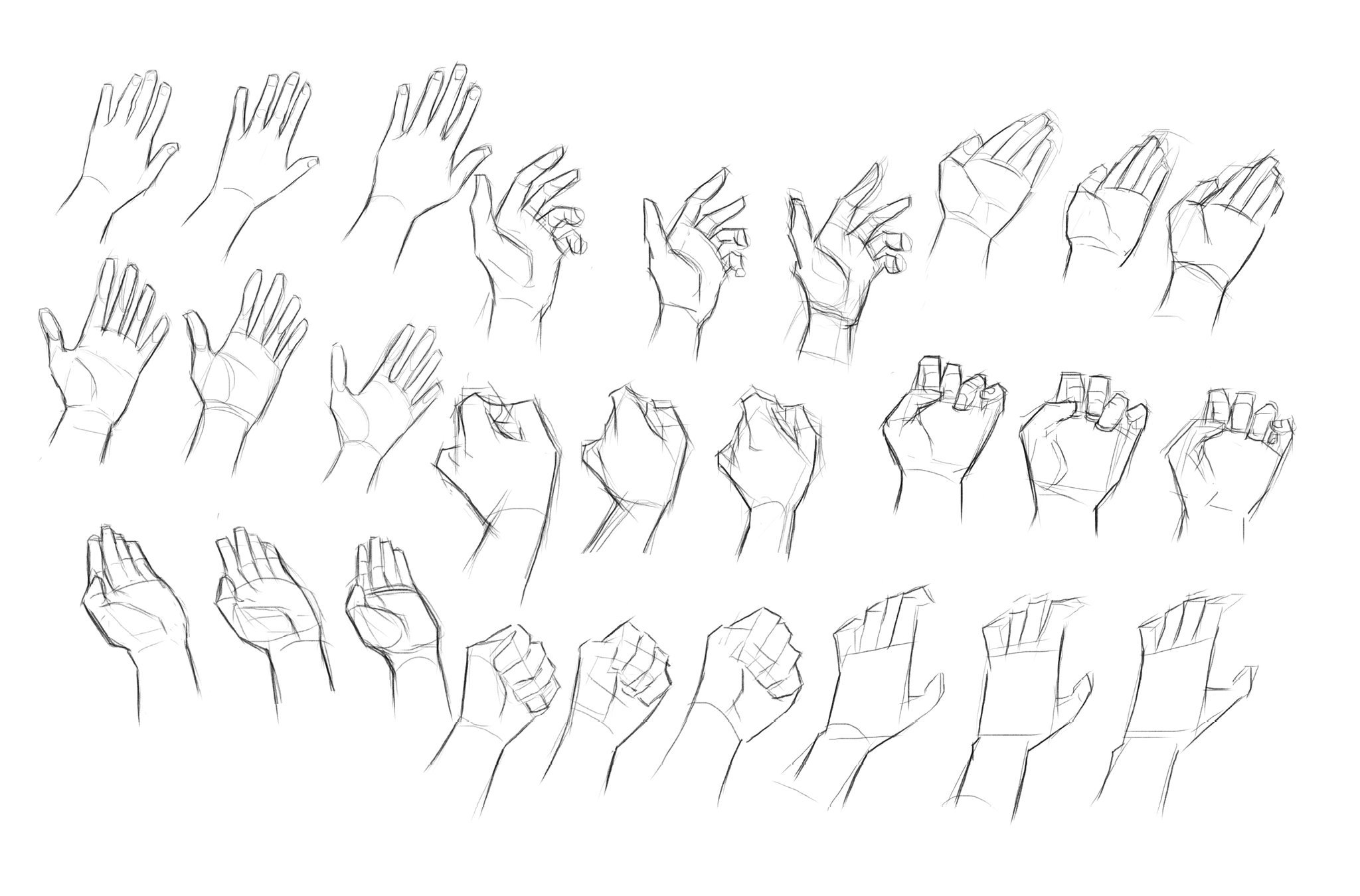 Back Of Left Hand Drawing