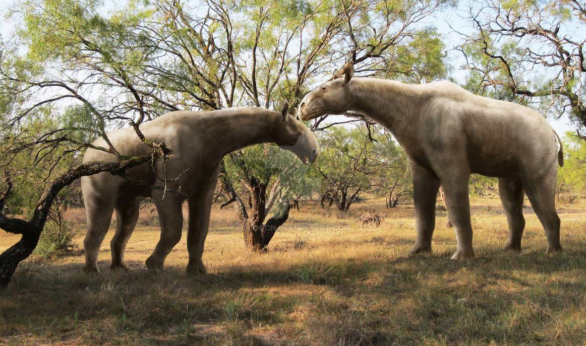 Walking With Beasts Indricothere