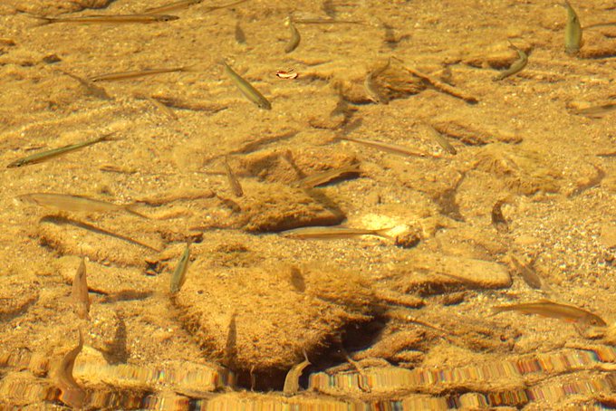 TW Pornstars - Extreme Piercing Jenny Simpson. Pictures and videos from ...