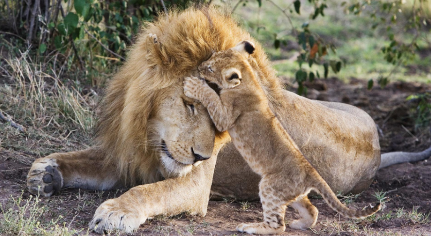 Day: Happy Father's Day! See if the dad in your life has anything in com...