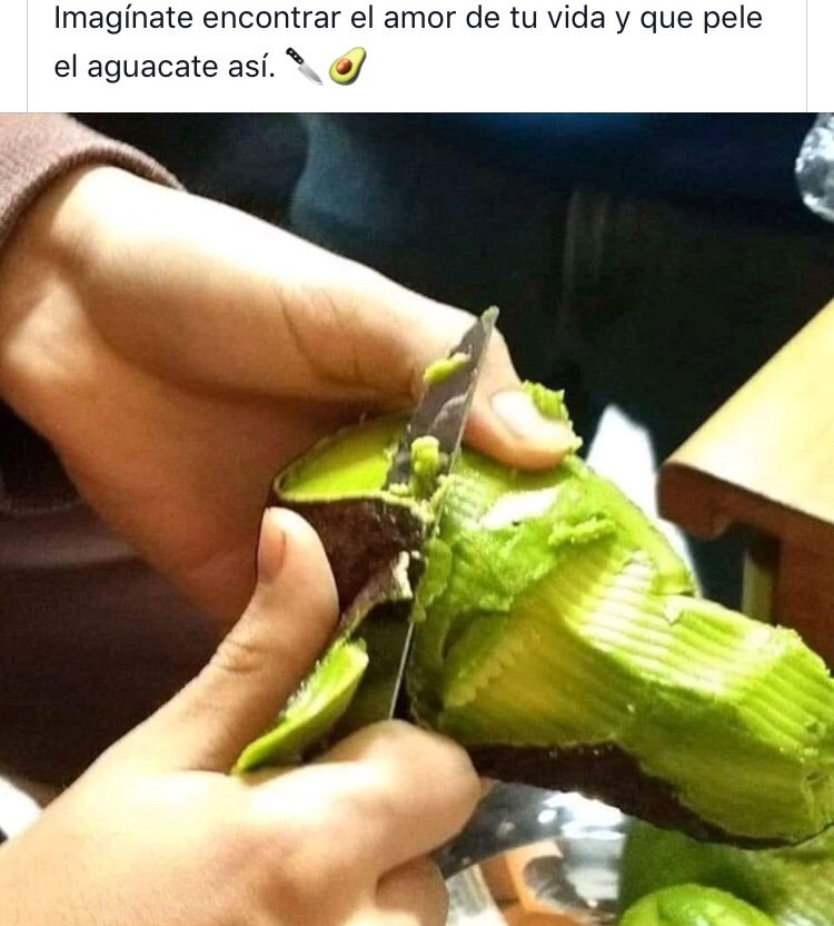 Que Palta Memes 35+ Funny Avocado Memes Ripe For Laughs (April 4,