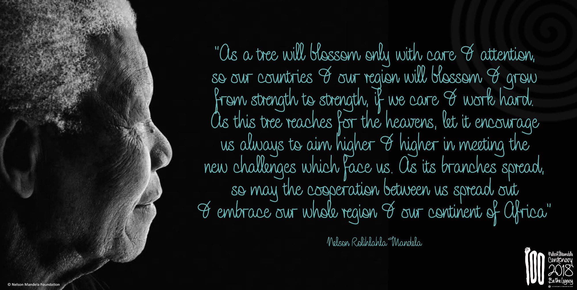 Nelson Mandela Work Quotes 75 Inspirational Quotes For Work To Get You