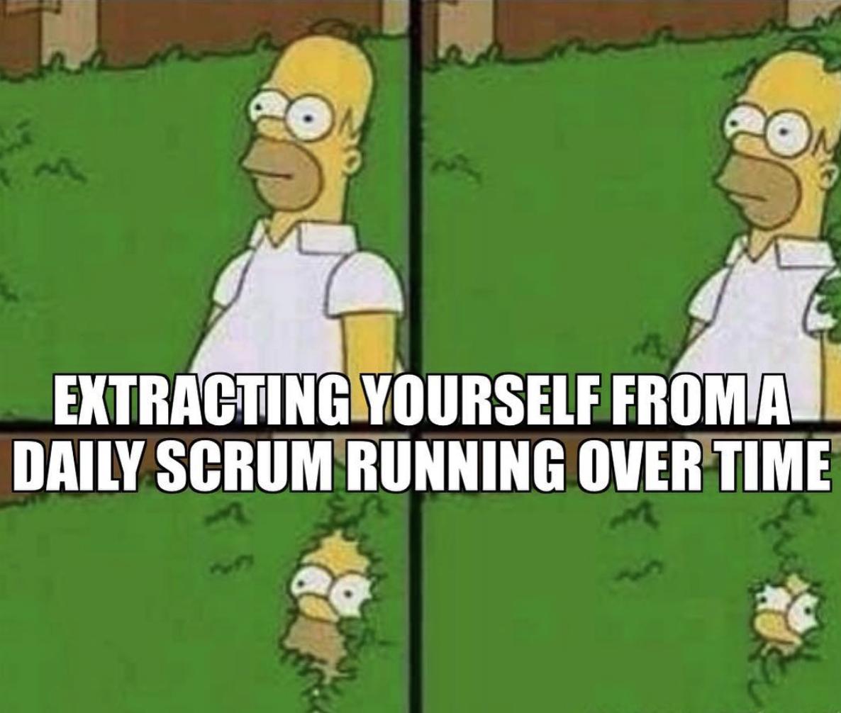 Scrum Meeting Memes 109 Funniest Project Management Memes And TikToks