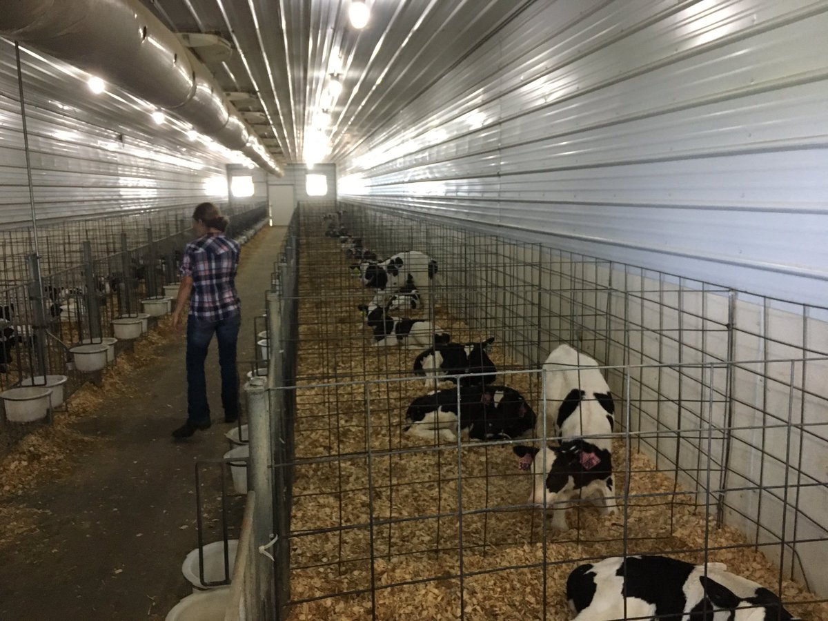 Reaseheath Agric (@RHC_Agriculture) | Twitter