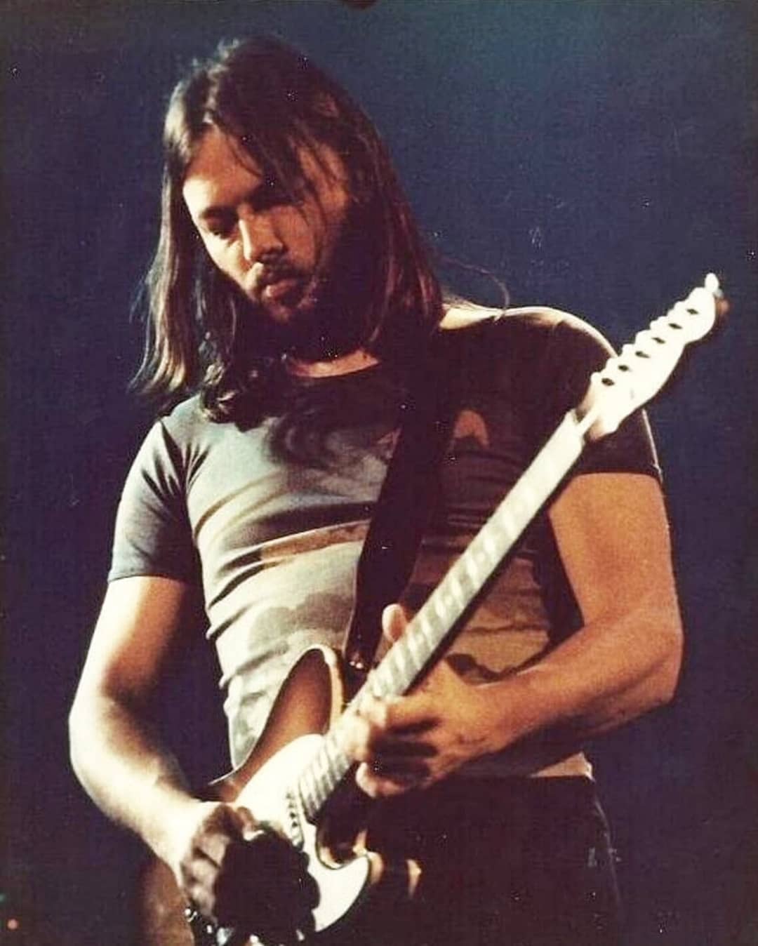 David Gilmour 1977