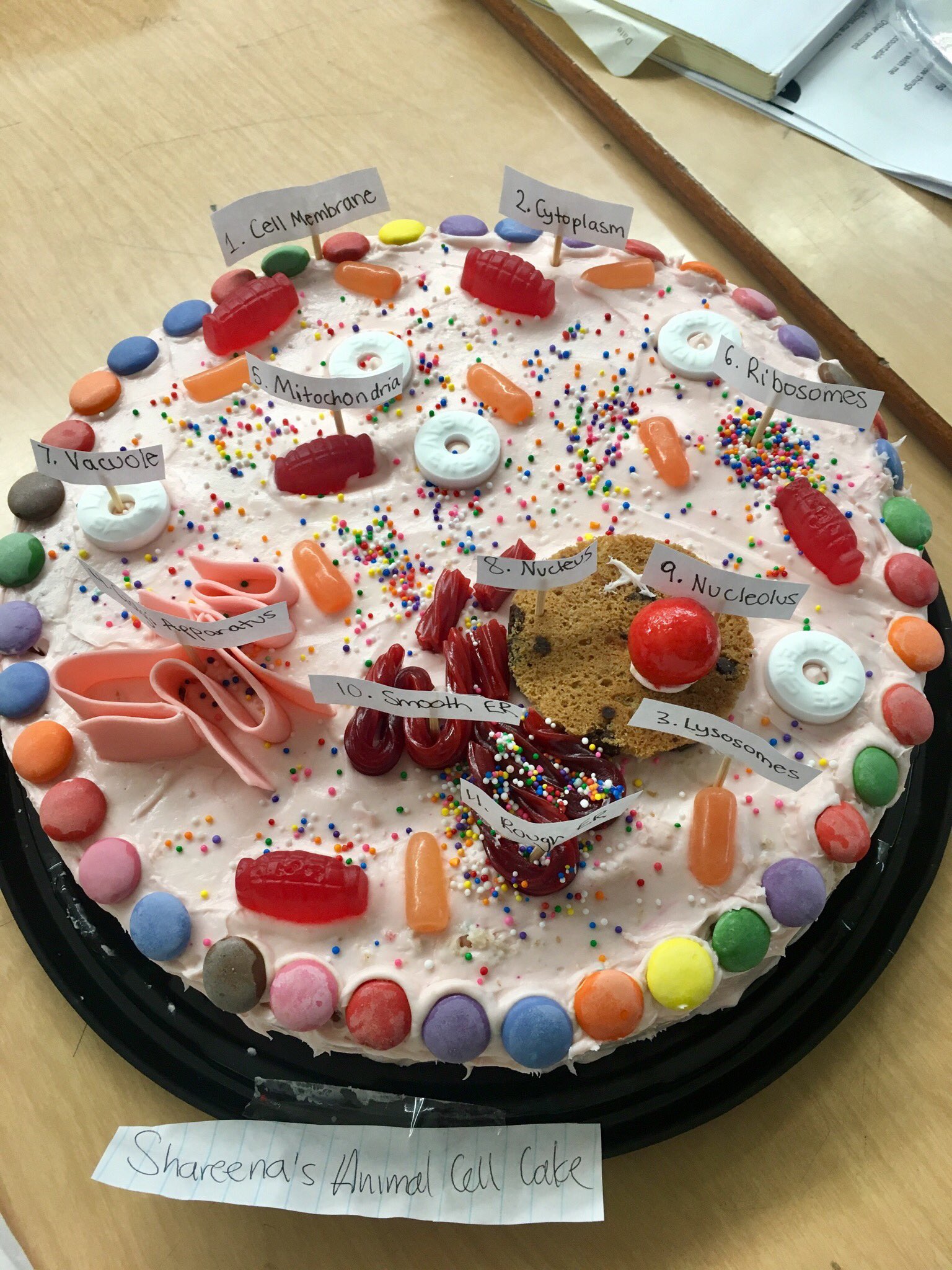 Edible Animal Cell Model Ideas Science Atian's Website