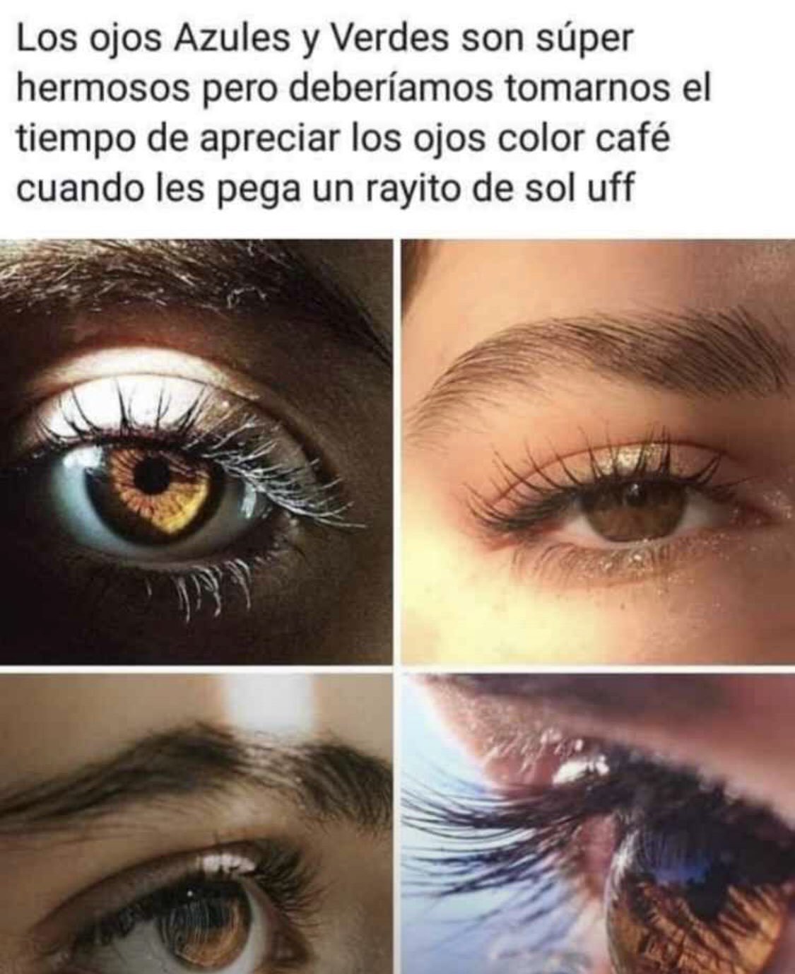 Ojos Color Cafe