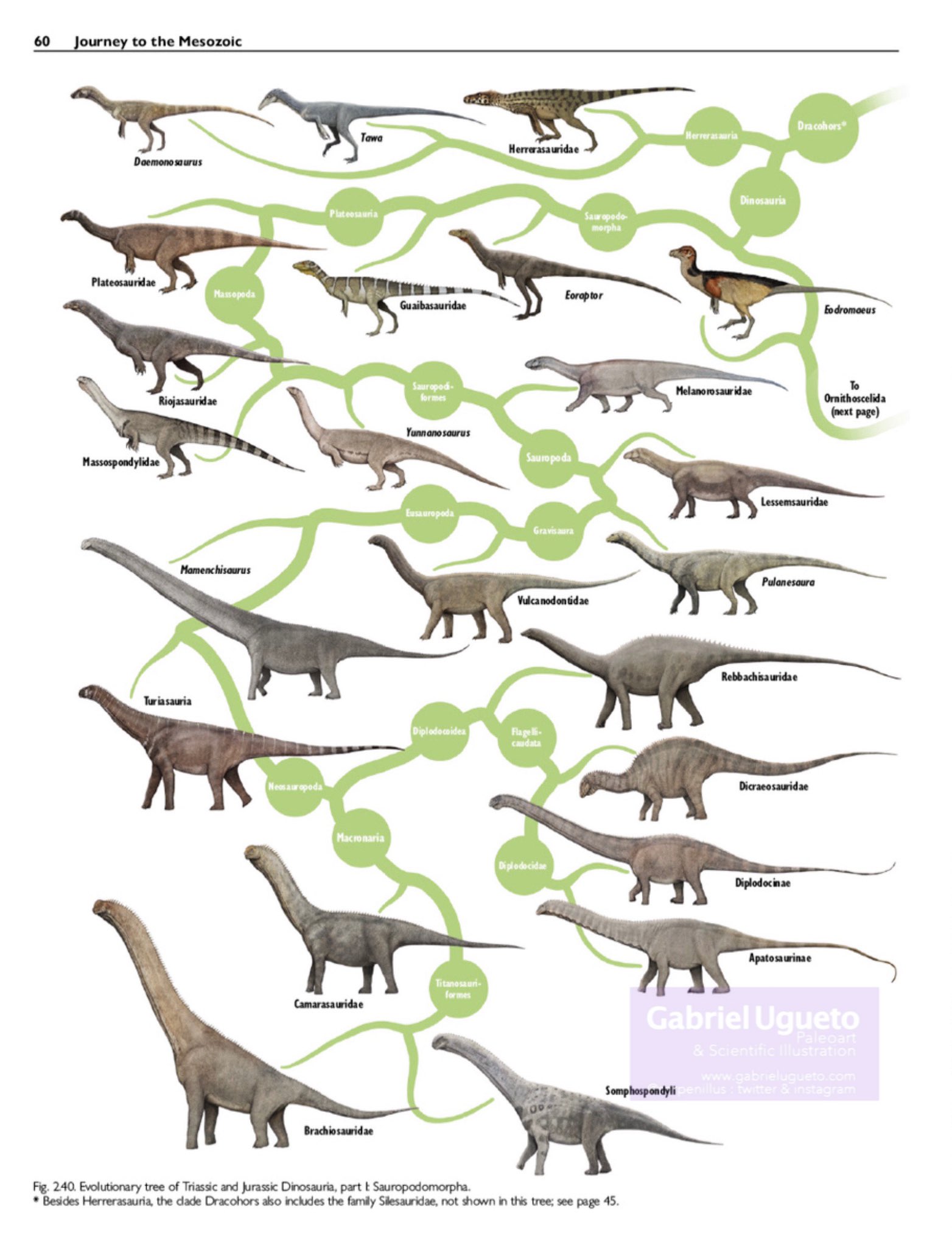 Dinosaur Evolution Chart